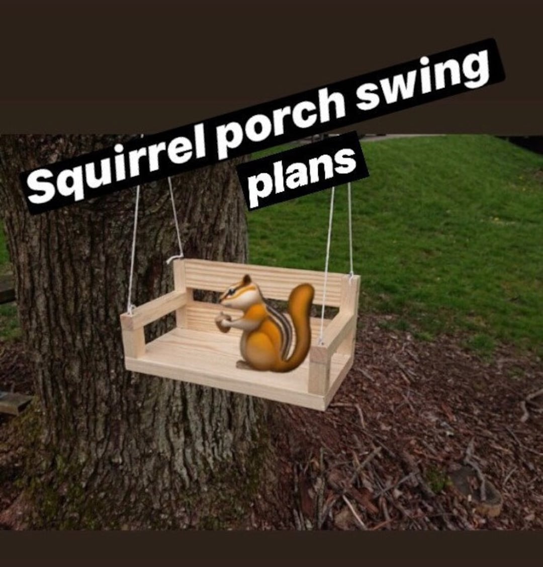 Squirrel Porch Swing Feeder Plans / Instructions / Blueprints - Etsy