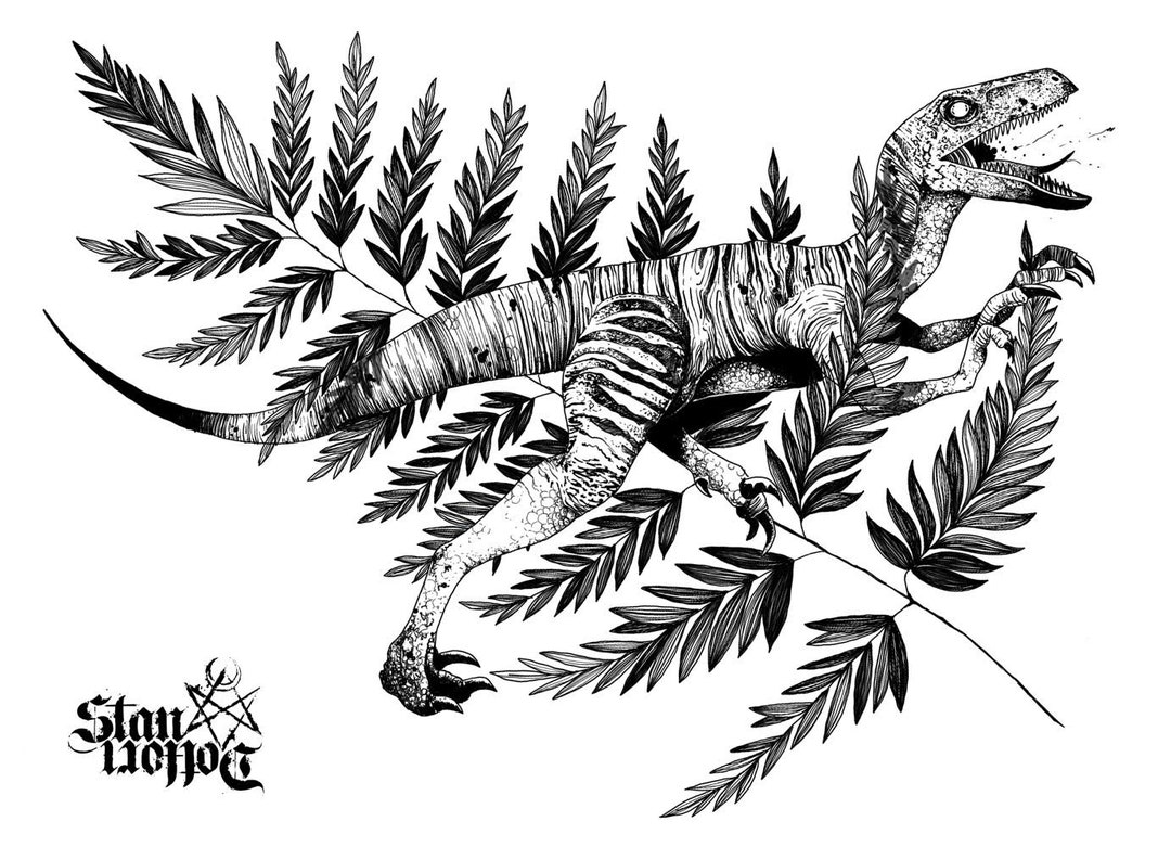 Print Raptor - - - Hand-numbered , Limited Edition of 50 Copies - Etsy