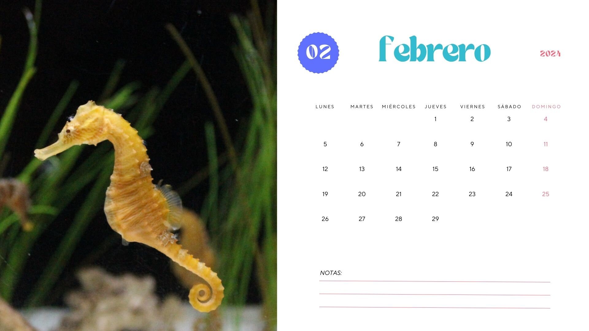 Ocean Monthly Calendars 2024 Calendar Spanish Calendar Sea - Etsy