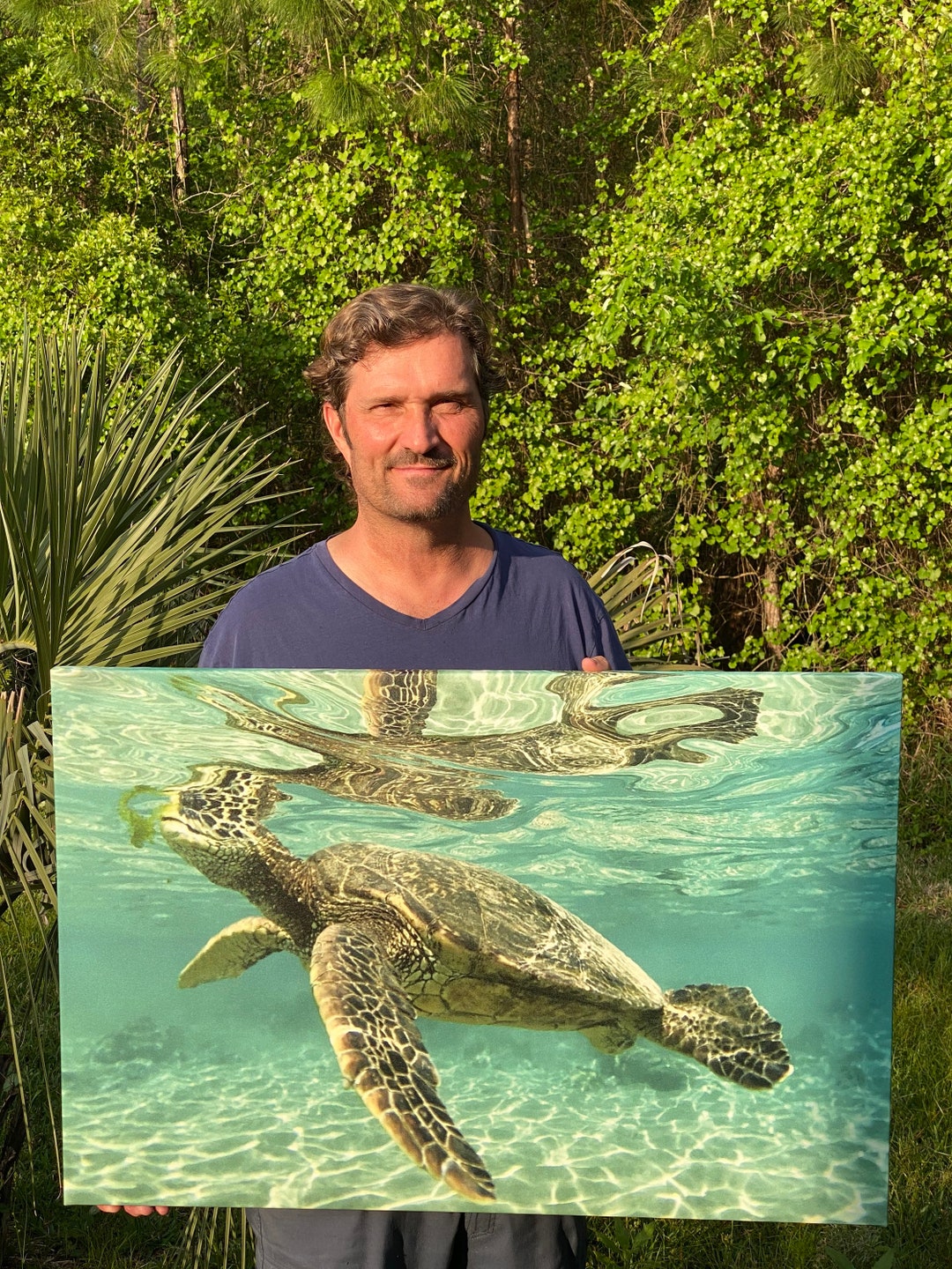 Emerald Honu 24x36 - Etsy