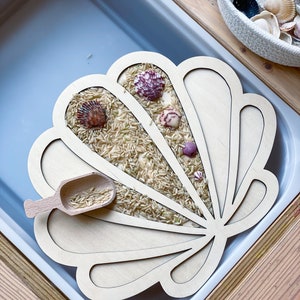Seashell Sensory Bin Tray, Seashell Tinker Tray, Sensory Bin Tray ...