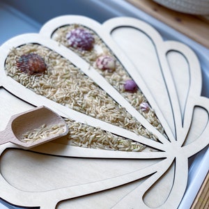 Seashell Sensory Bin Tray, Seashell Tinker Tray, Sensory Bin Tray ...