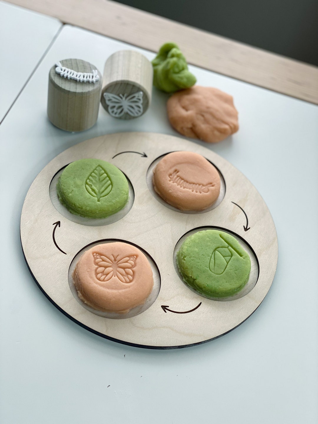 Life Cycle Tray, Wood Life Cycle Board, Metamorphosis Tray, Wooden Life ...