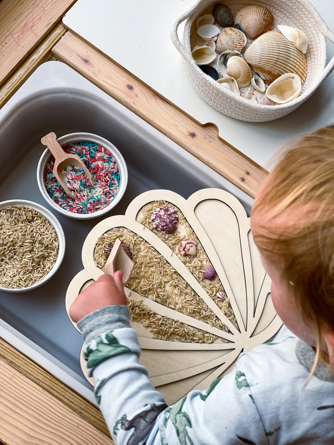 Seashell Sensory Bin Tray, Seashell Tinker Tray, Sensory Bin Tray ...