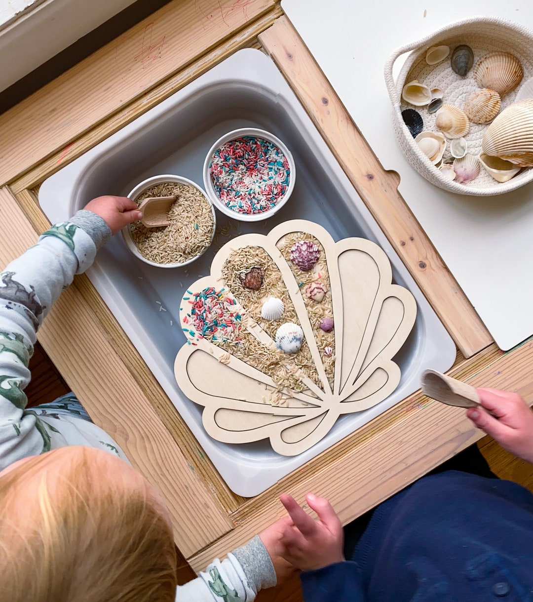 Seashell Sensory Bin Tray Seashell Tinker Tray Sensory Bin - Etsy