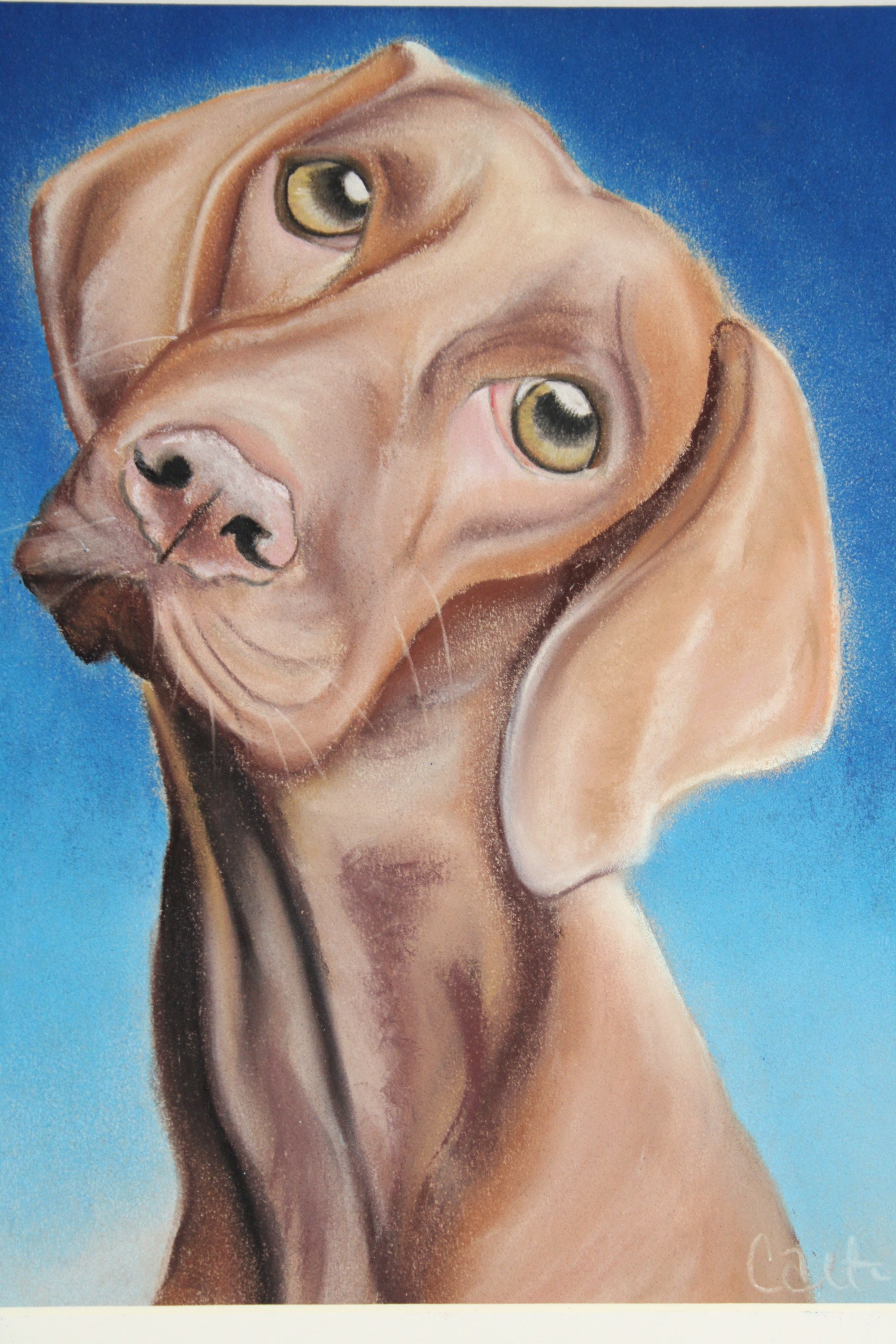 Vizsla vizsla wall art gift for dog mom pet wall art dog | Etsy