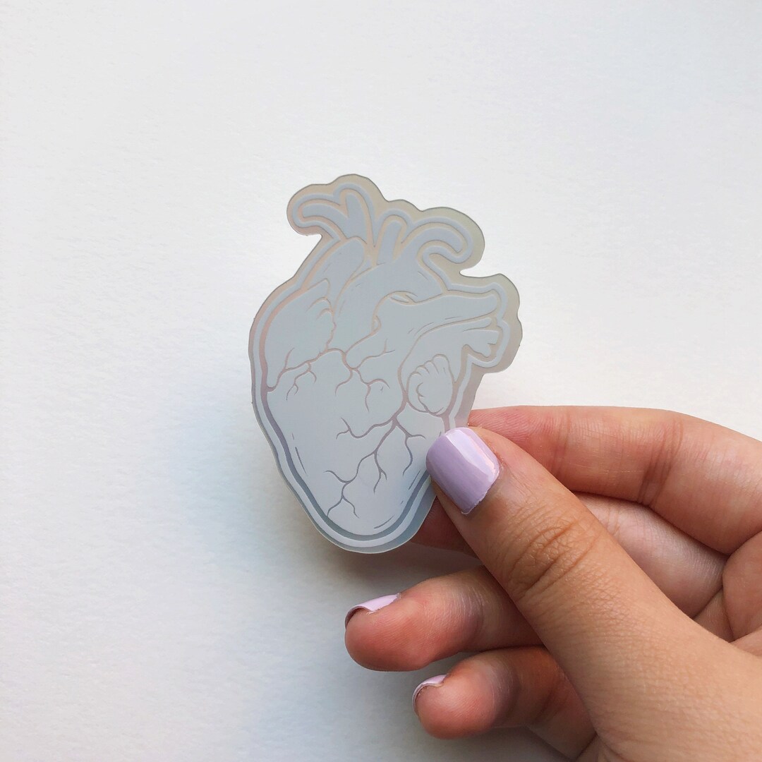 Anatomical Heart Matte Holographic Sticker - Etsy