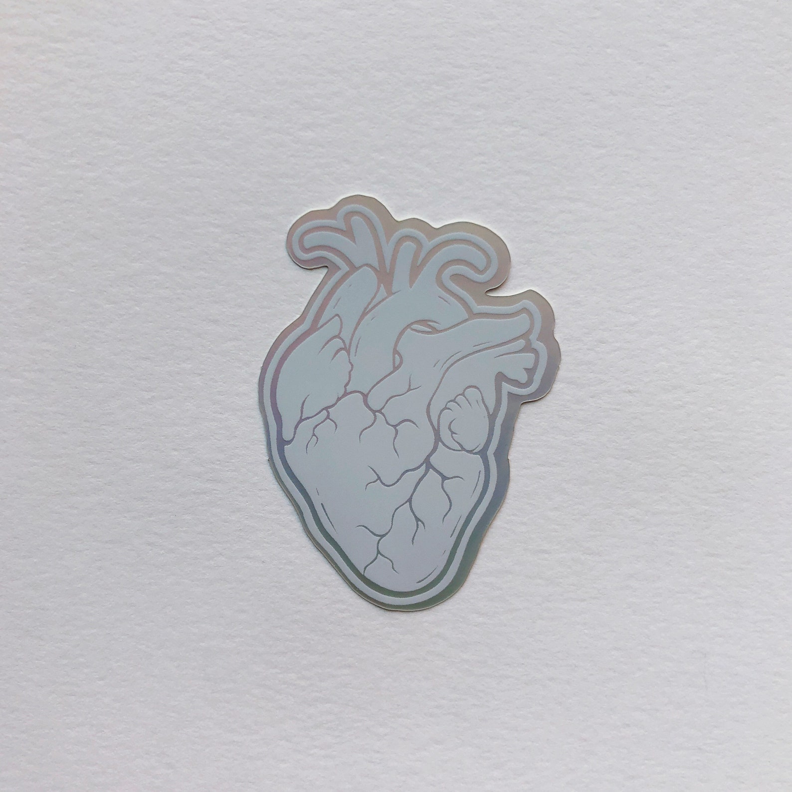 Anatomical Heart Matte Holographic Sticker - Etsy