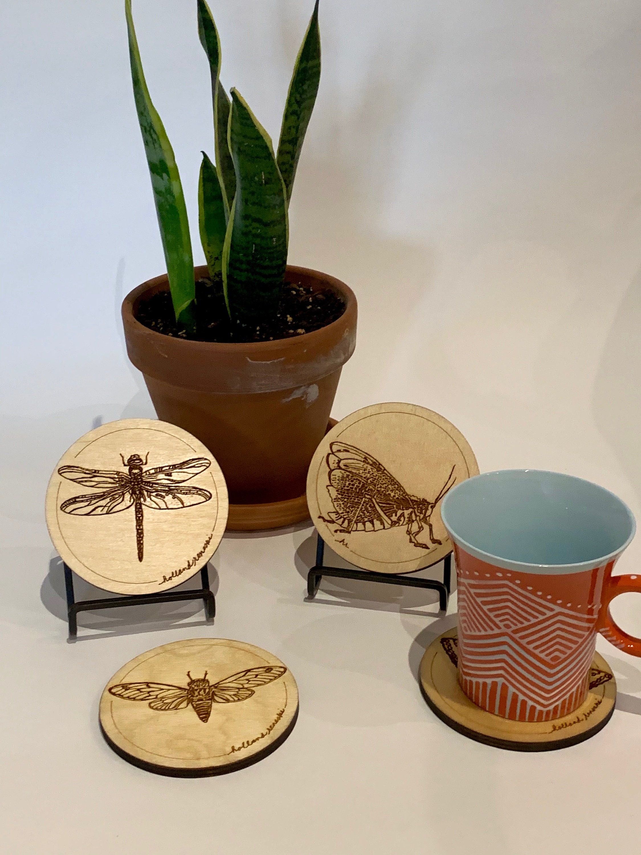 Grasshopper, Butterfly, Cicada, Dragonfly Coaster With Box, Insect ...