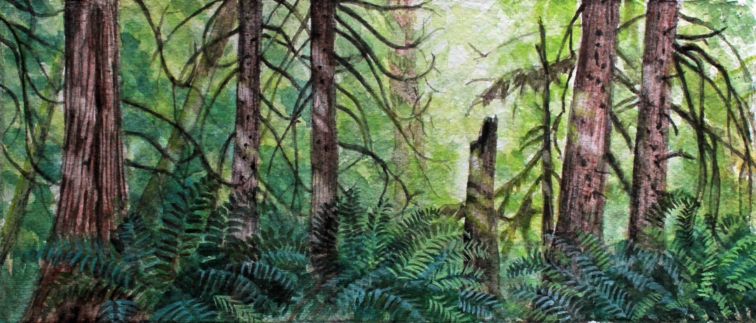 A Cedar Grove, Original Watercolor Painted Outdoors, Unframed - Etsy