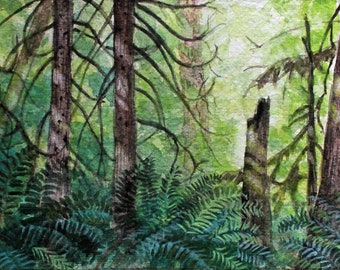 Cedar Tree Watercolor Painting - Etsy