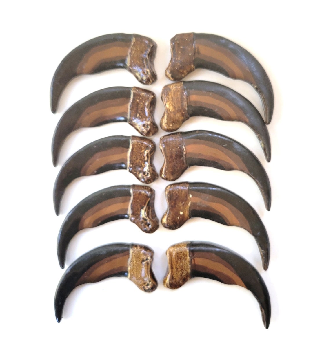 Bear Claw Replicas 10 2inch - Etsy