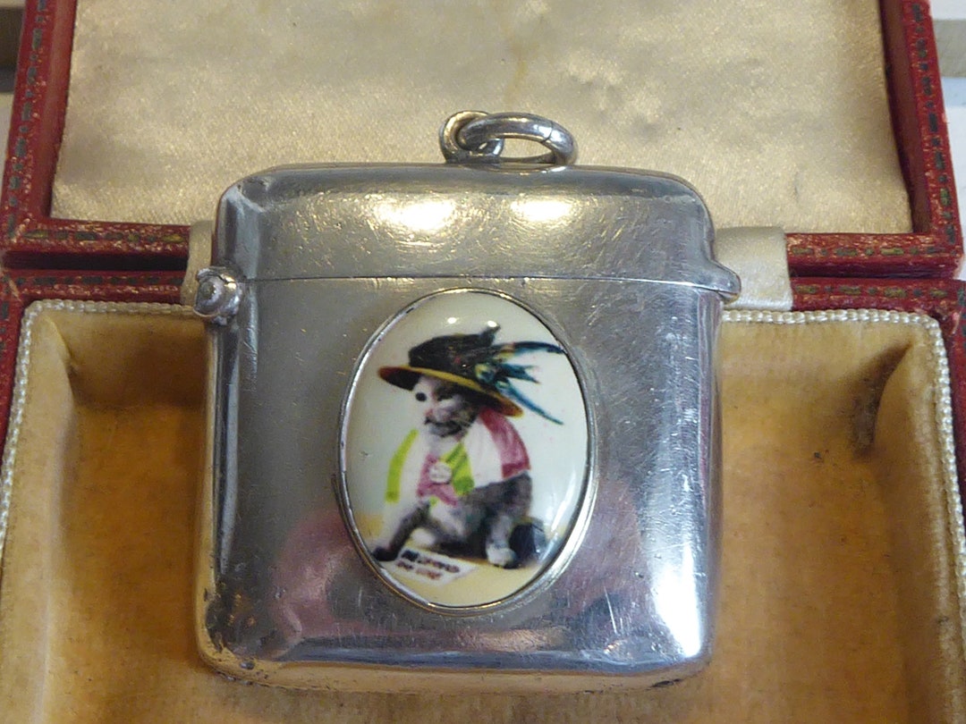 Silver Hallmarked 1909 Suffragette Cat Vesta Matchstrike Case - Etsy