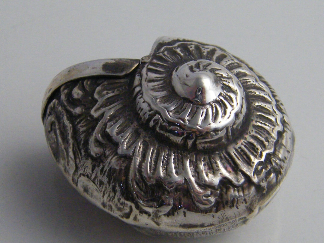 Silver Conch Shell Box - Etsy
