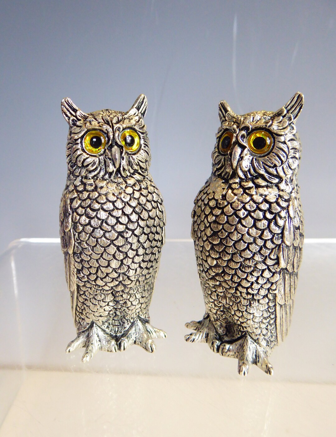 Fine Pair Silver Plated Owl Salt & Pepper Pots - Etsy