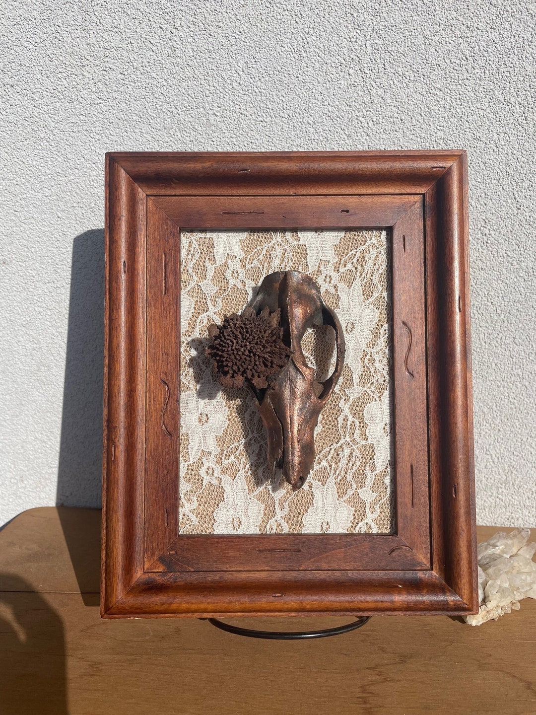 Real Possum Skull With Real Sunflower Husk Copper Electroformed ...