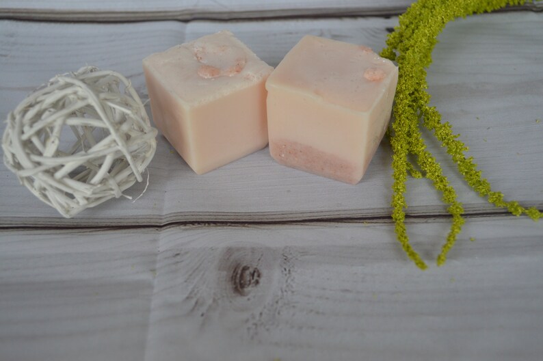 Tea Tree Himalayan Salt Scrub Cubes Exfoliation Scented Cube - Etsy