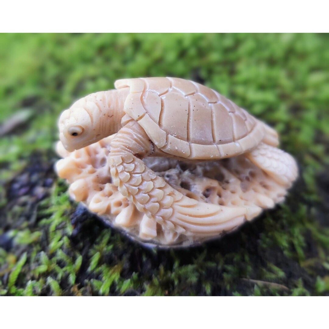 Turtle Tagua Nut Carving, Miniature Sculptures, Vegetable Ivory - Etsy