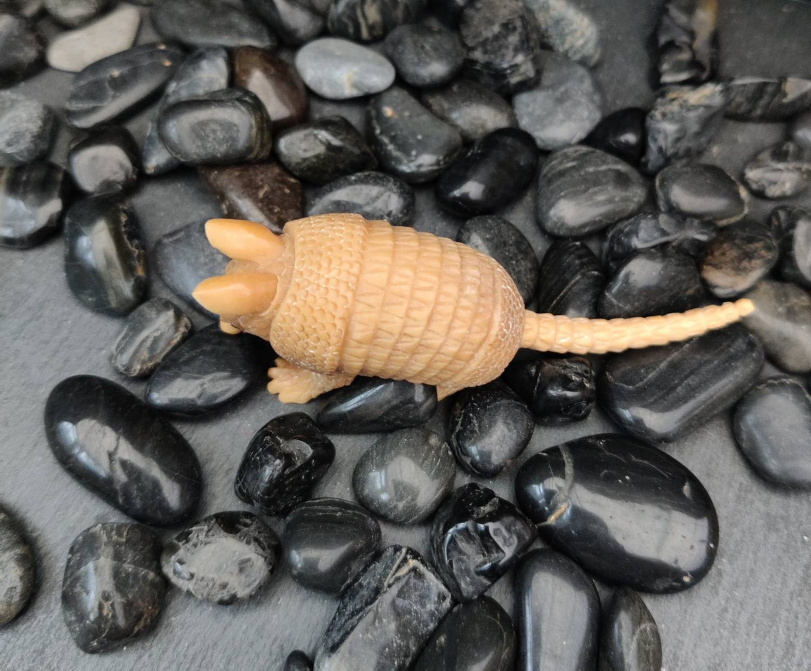 Armadillo Carving Handcarved From Tagua Nut Vegetable Ivory | Etsy UK