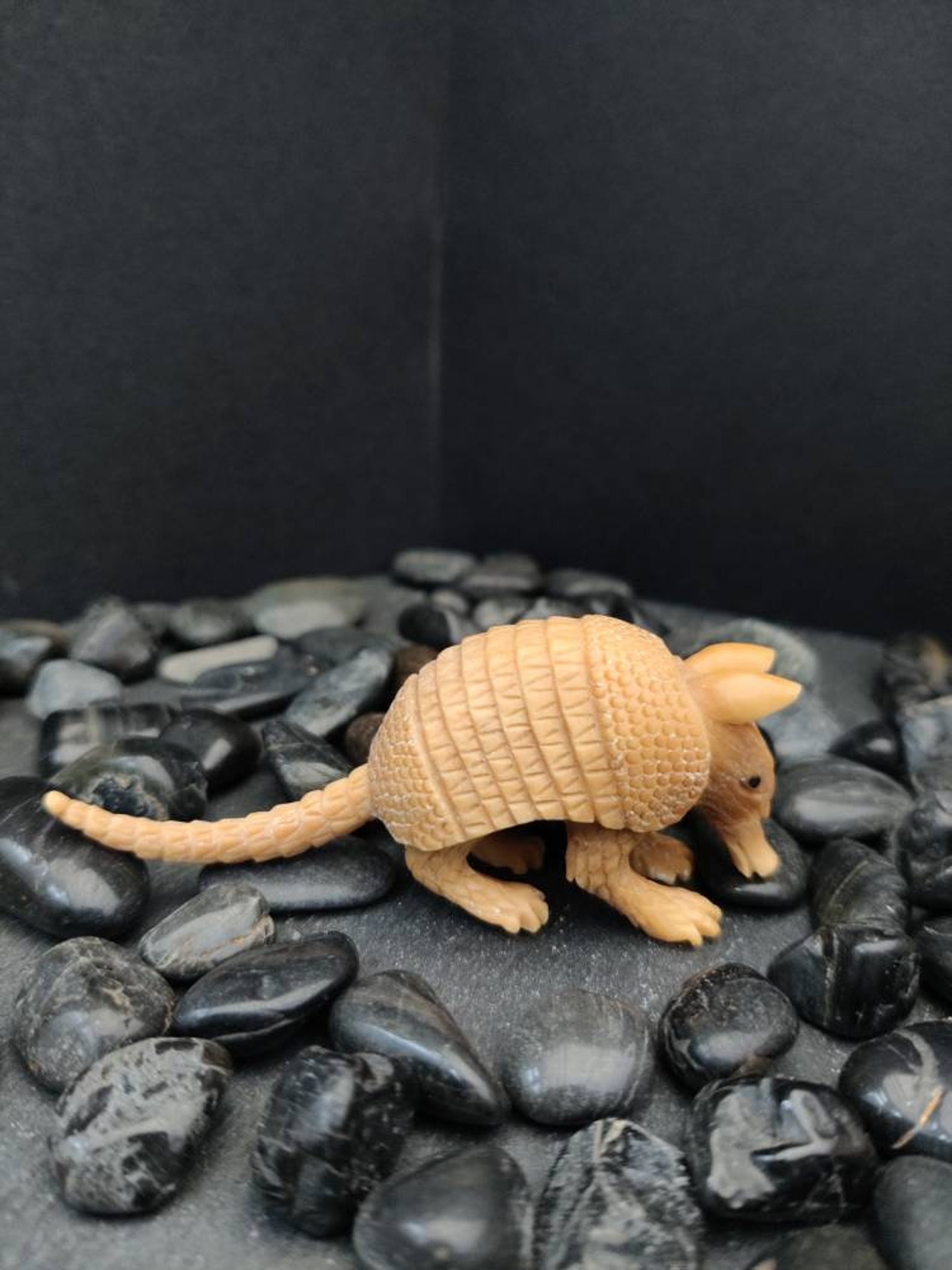 Armadillo Carving Handcarved From Tagua Nut Vegetable Ivory | Etsy UK