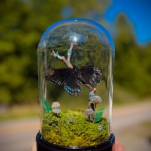 Butterfly Terrarium - Etsy