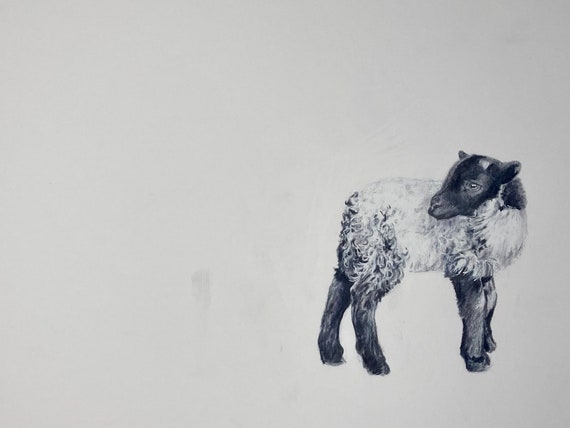 Spring Lamb | Etsy