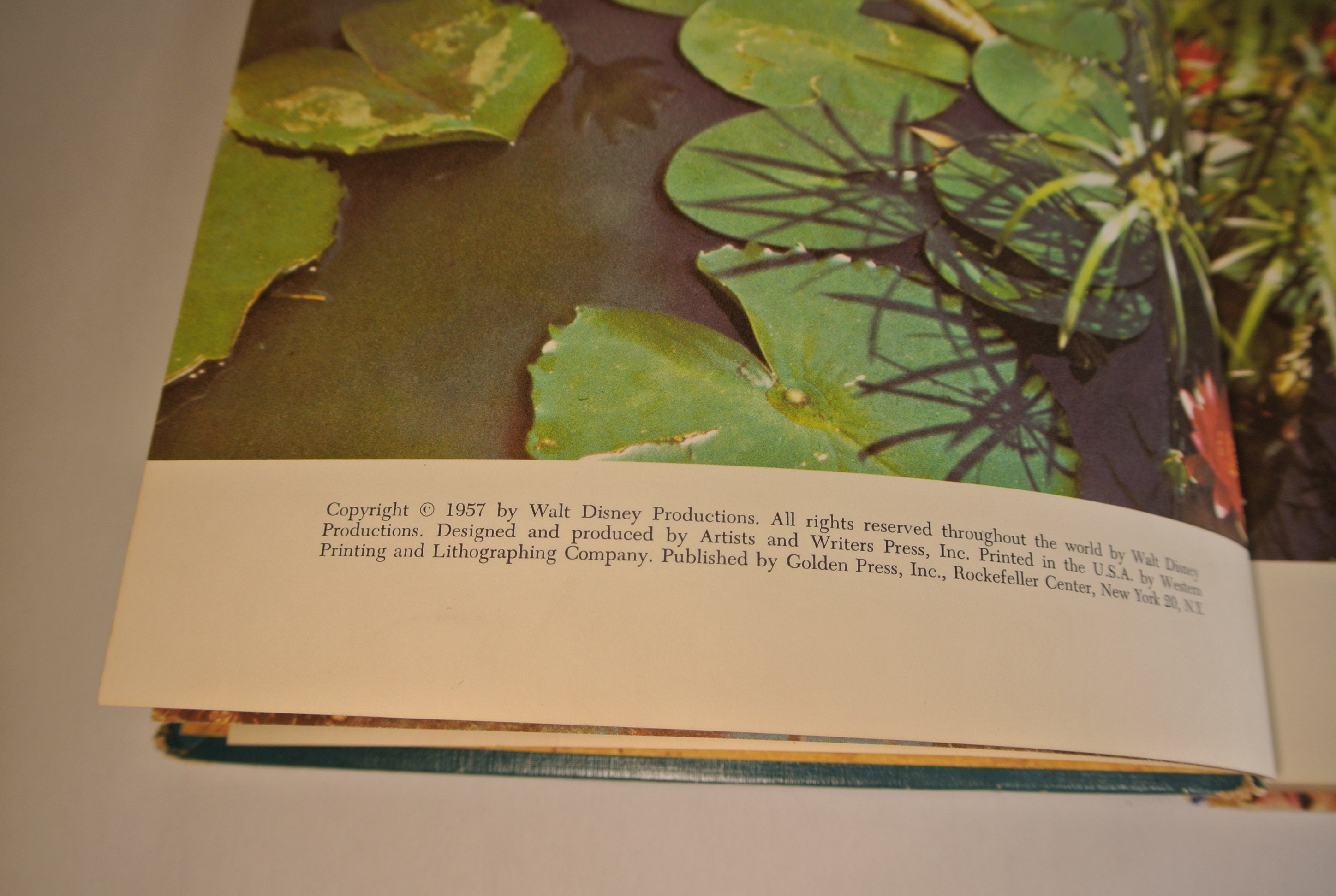Walt Disney's Worlds of Nature - Vintage Hardcover Book - 1957 ...