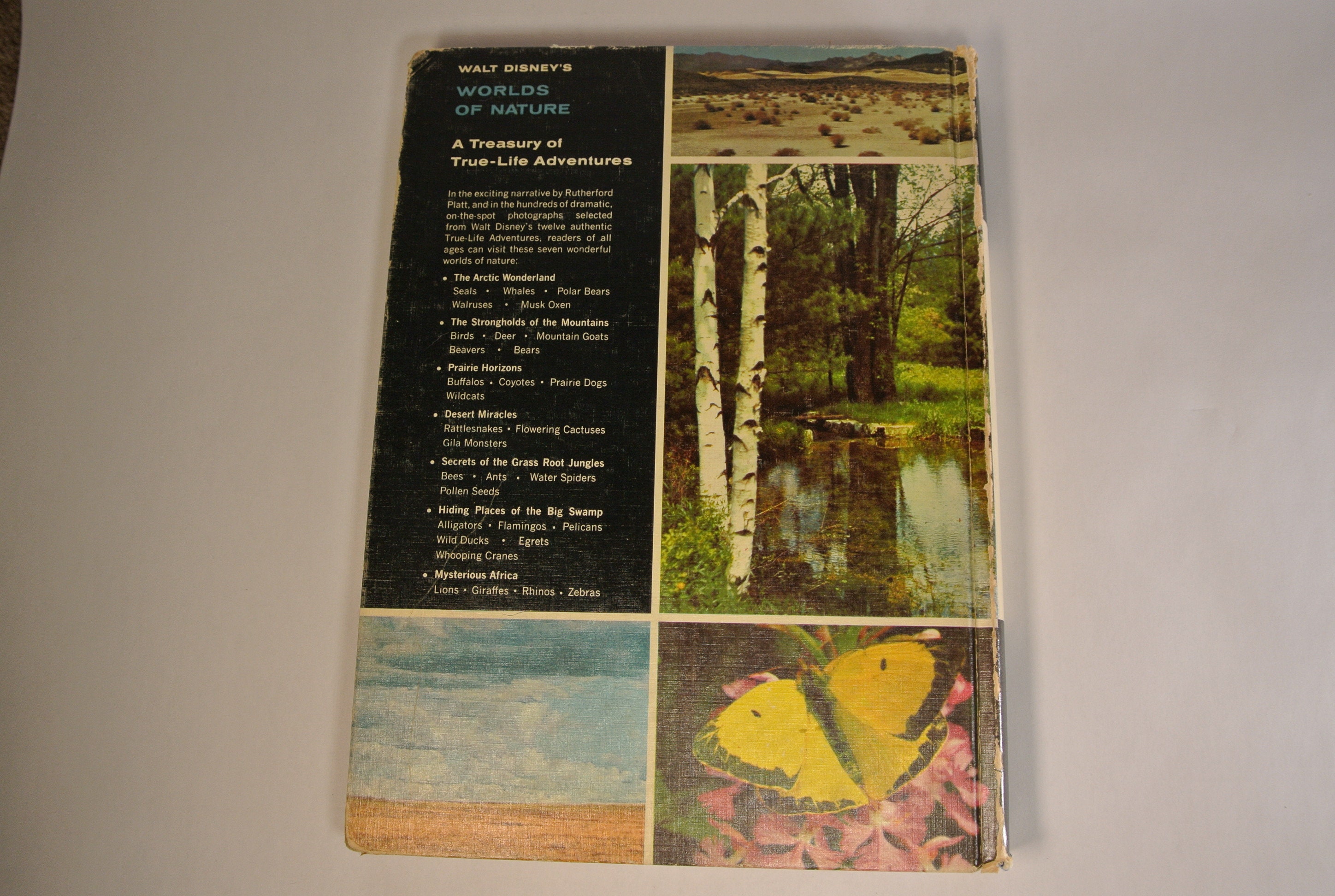 Walt Disney's Worlds of Nature Vintage Hardcover Book 1957 Copyright - Etsy