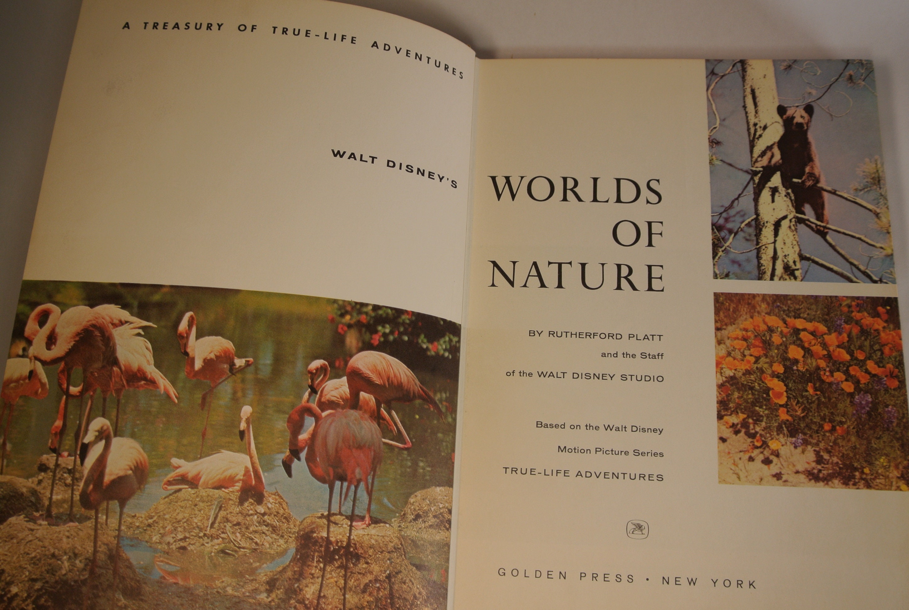 Walt Disney's Worlds of Nature - Vintage Hardcover Book - 1957 ...