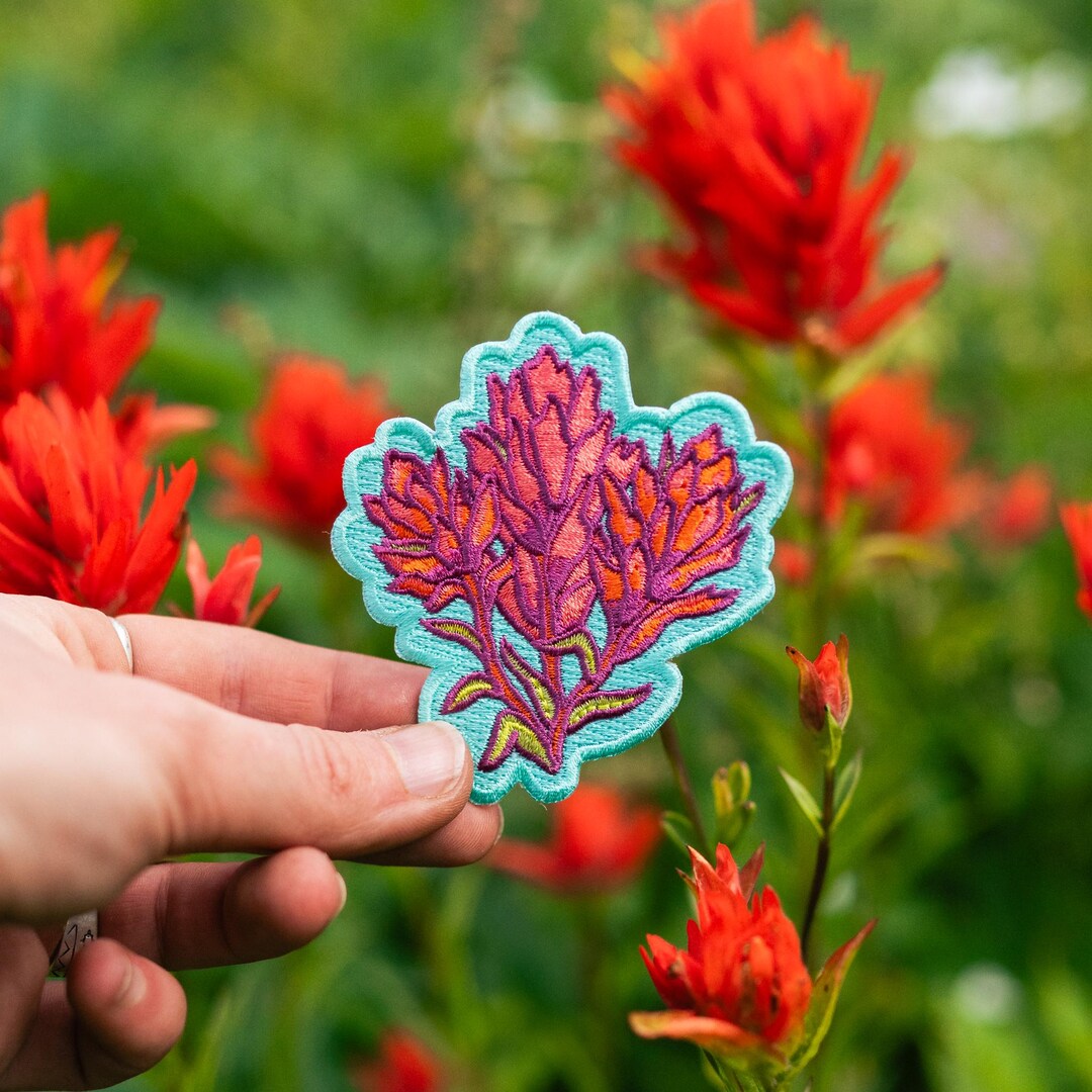 Indian Paintbrush Wildflower Iron-on Patch - Etsy