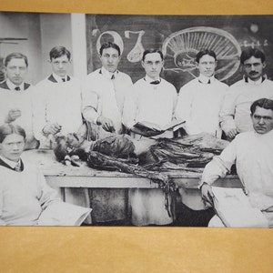 Skeleton Dead Man Cadaver Medical Doctor Autopsy Photo Scary Creepy ...