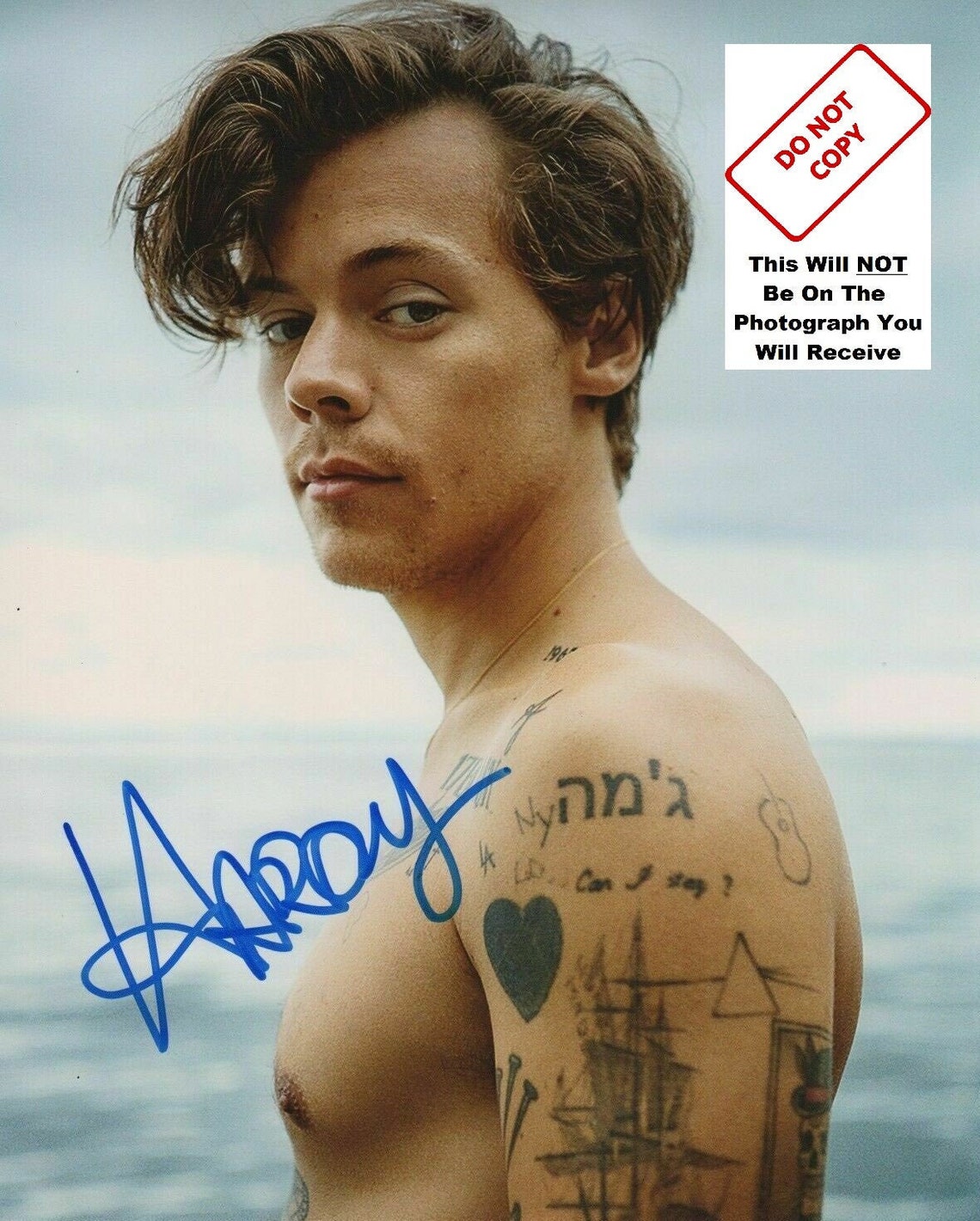 Harry Styles Autographed Signed Photo Harry Styles Signed | Etsy UK