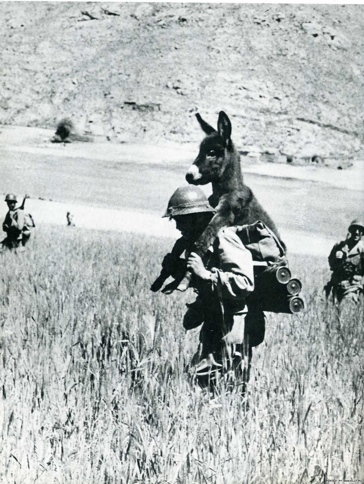 Soldier Black And White Photography