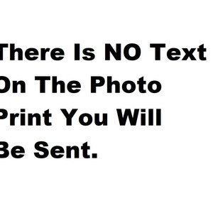 Dorothy Counts, First Black Girl to Attend All White School, Teased ...