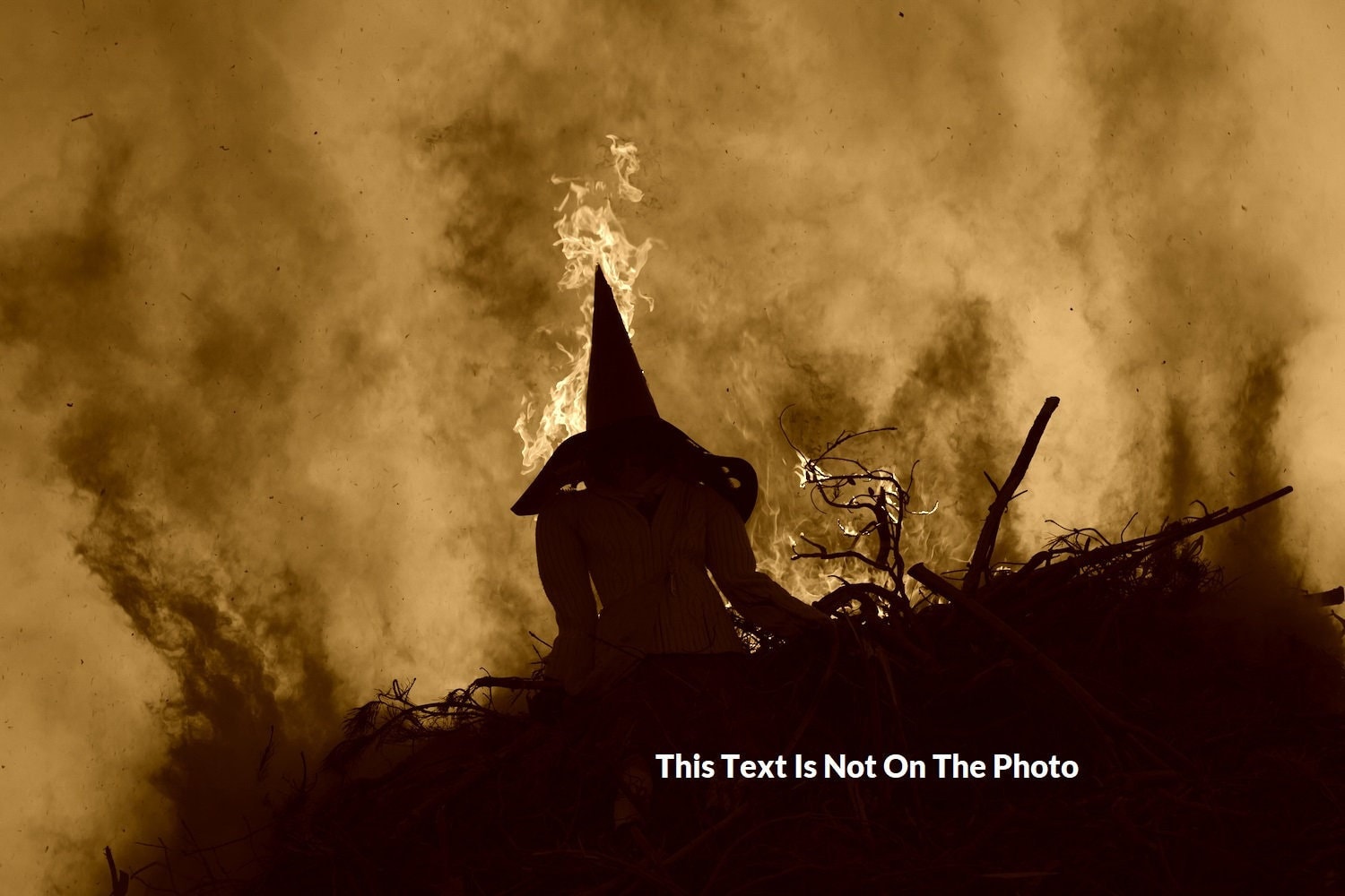 Burning Witch Witches Photo Black Magic Ritual Old Hag - Etsy
