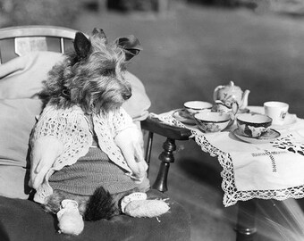 Puppy Tea Party - Etsy