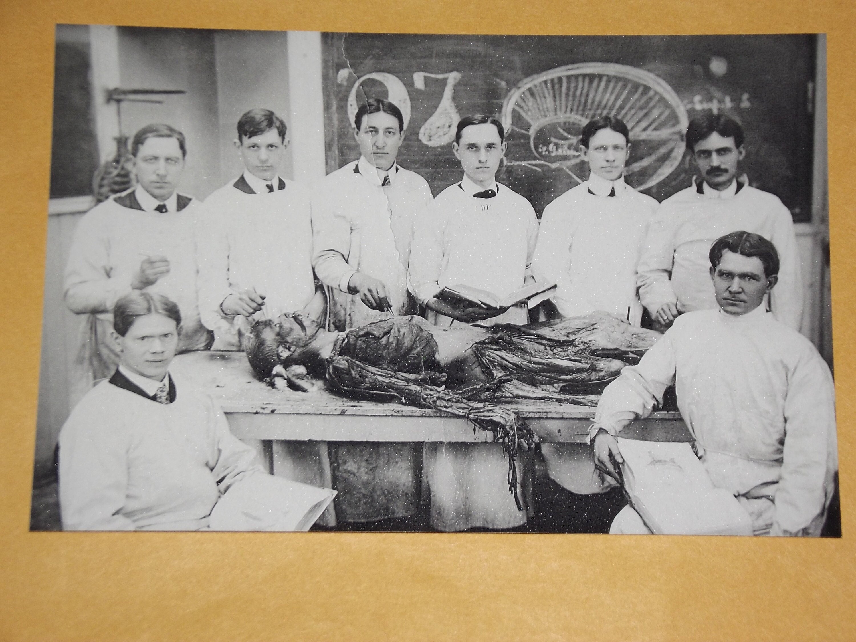 Skeleton Dead Man Cadaver Medical Doctor Autopsy Photo Scary - Etsy