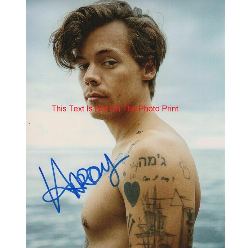 Harry Styles Poster - Etsy