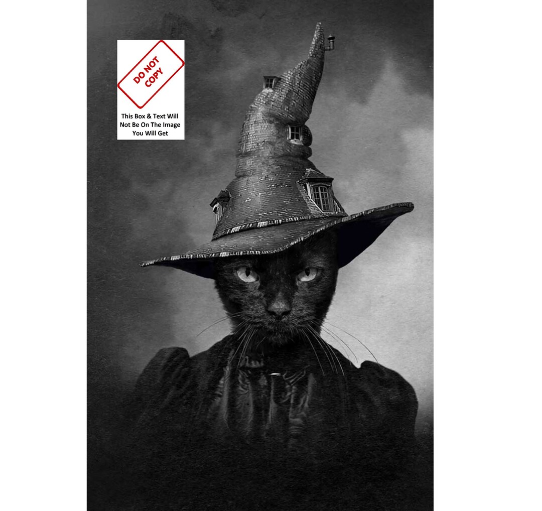 Black Cat Witches Cat in A Hat Photo Witchcraft Halloween Vintage Photo ...