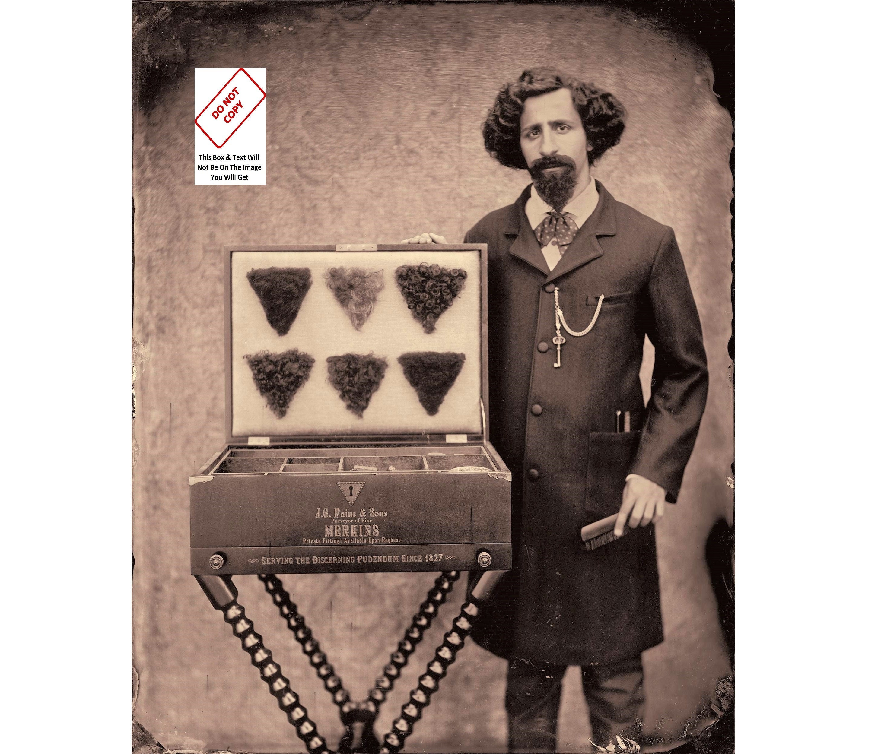 A Wig In A Bush Is A Merkin Online | www.ruthiesnotions.com