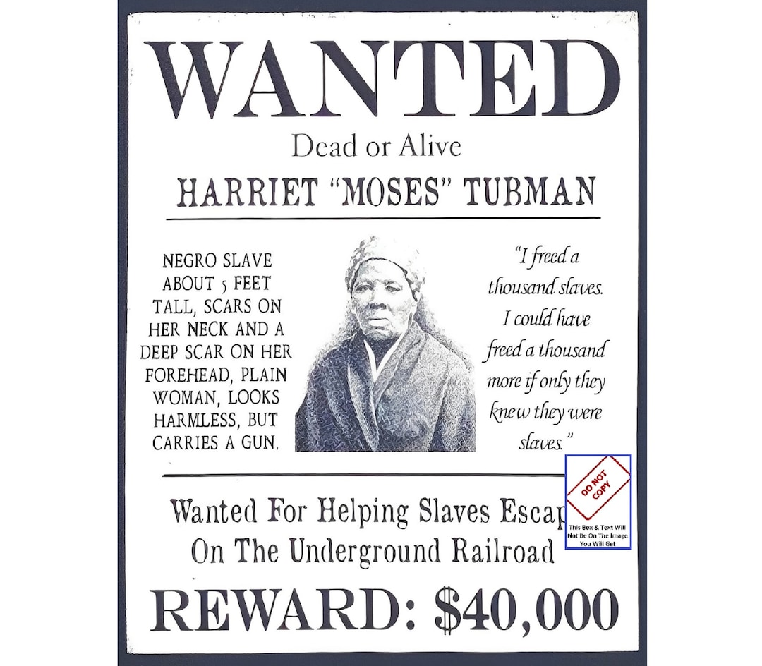 1885 Harriet Moses Tubman Minty Civil Rights War Negro Slave Reward ...