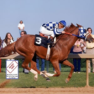 SECRETARIAT 1973 Race Photo Triple Crown Horse Race Winner Kentucky ...