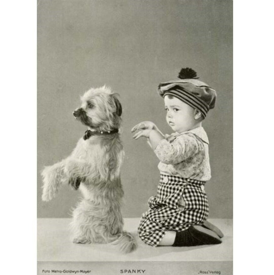 Spanky Little Rascals Vintage Photo Pet Dog Funny Animal Lover Print ...