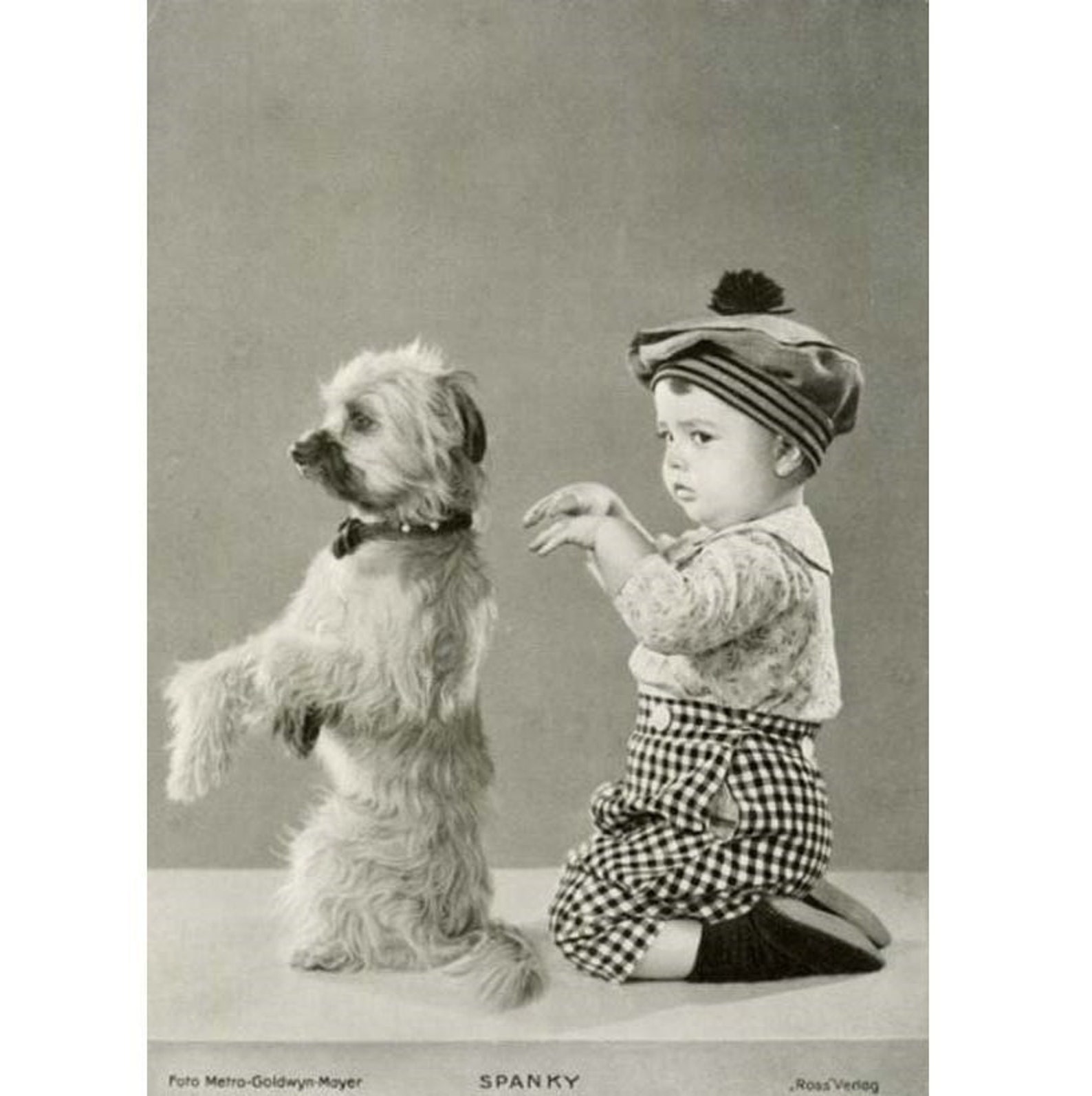 Spanky Little Rascals Vintage Photo Pet Dog Funny Animal Lover - Etsy