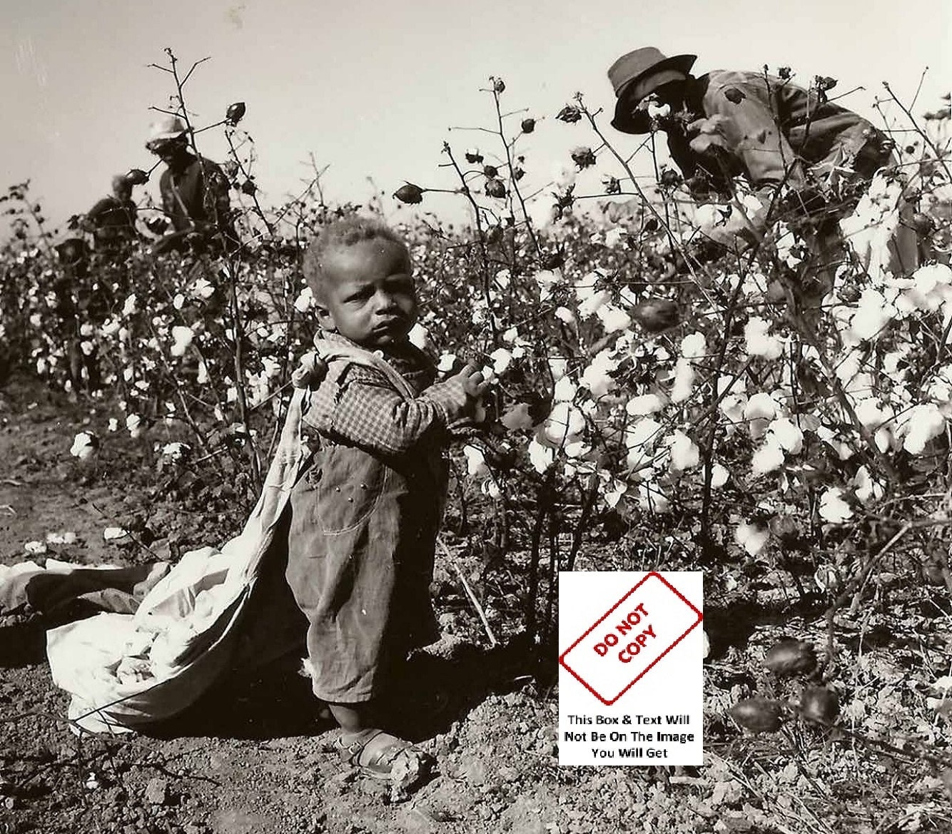 Black Baby Boy Cotton Picker Boy Great Depression Photo Farm - Etsy