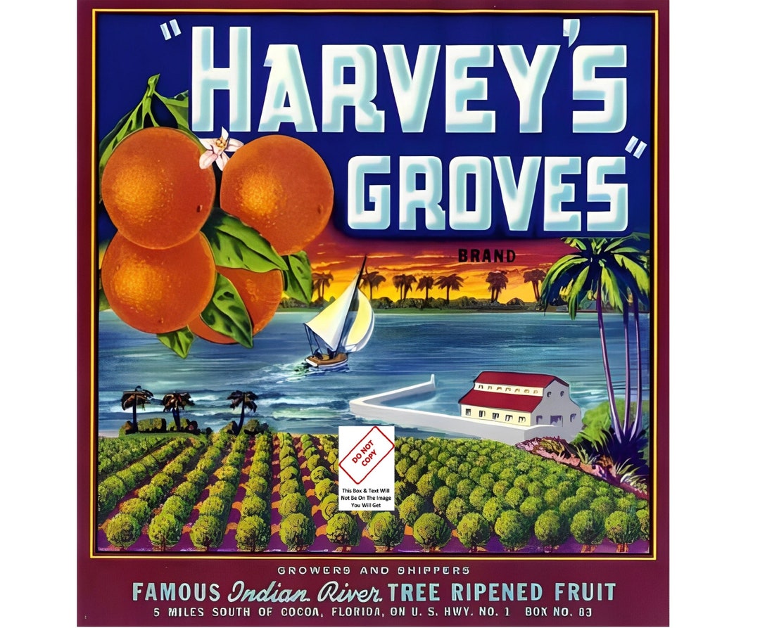 Harvey's Groves Orange Fruit Crate Label Art Print Indian River Cocoa ...