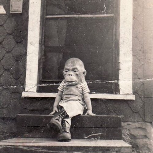 Vintage Photo Print Children Goth Glam Halloween Decor Weird - Etsy