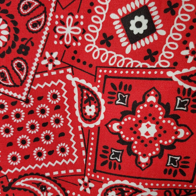 Paisley, Different Colors Reusable Face Mask With Nose Pinch Wire and ...