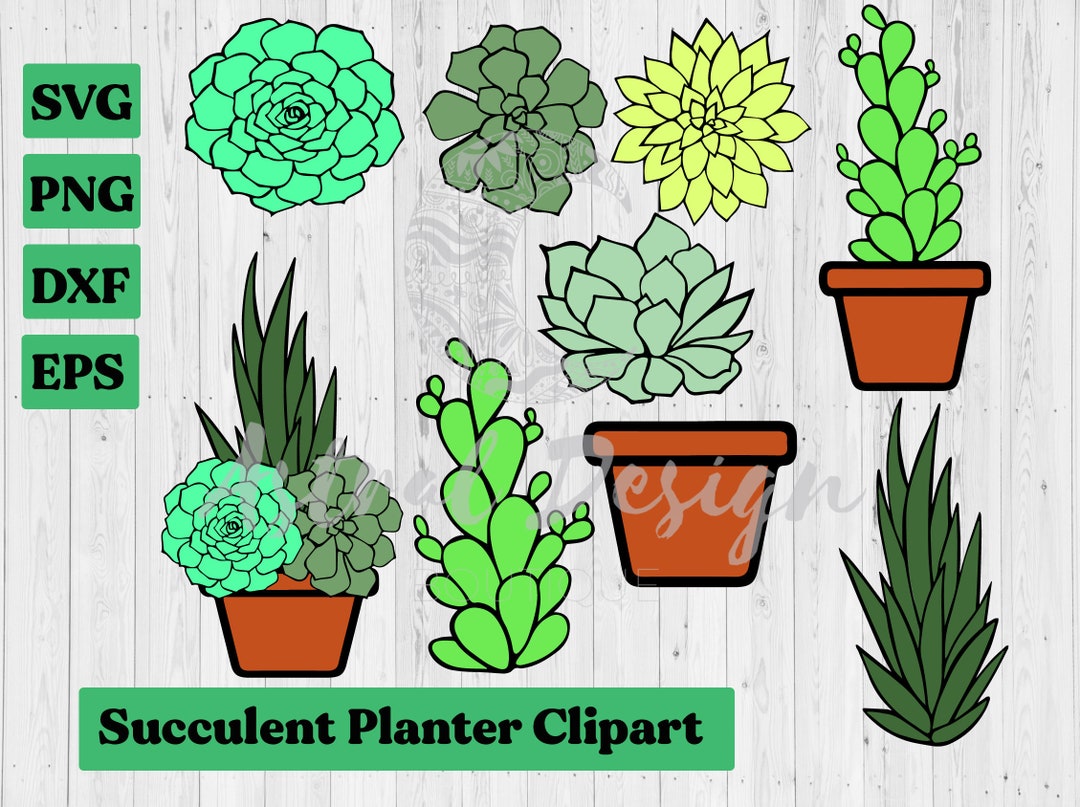 Succulent SVG Bundle Digital Cut Files for Cricut Silhouette, What the ...