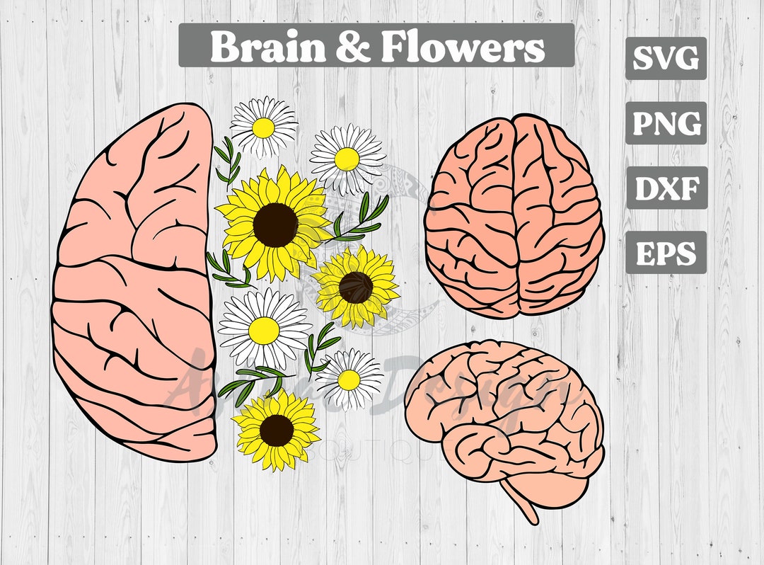 Brain and Flowers SVG Cut Files for Cricut Silhouette | Anatomy Brain ...